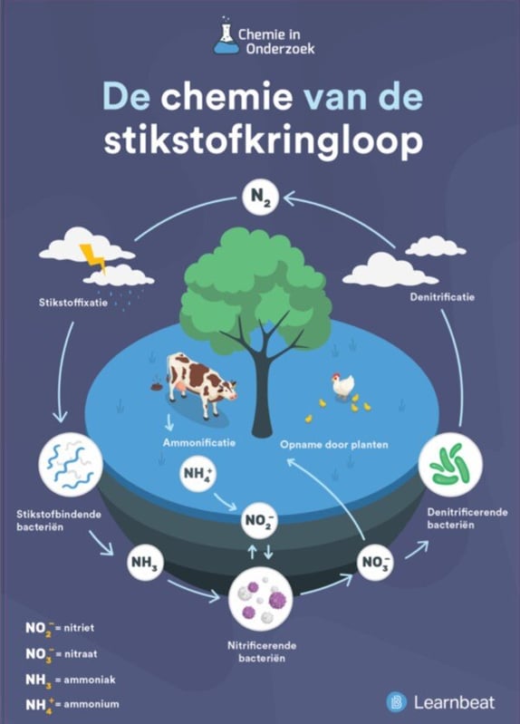 Educatieve poster over Stikstofkringloop voor het vak scheikunde